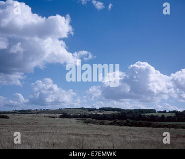 A view across Martin Down part of a National Nature Reserve The Dorset ...