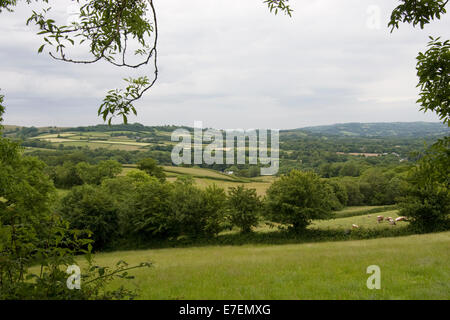 Welsh landscape with meadows and hedges Stock Photo - Alamy