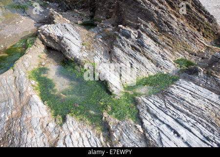 beach Hele Bay Ilfracombe North Devon Stock Photo - Alamy