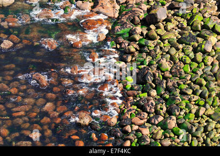 Stone beach at Stoer Head, Sutherland, Highlands, Scotland, United ...