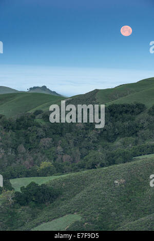 Sun rising over rural landscape Stock Photo - Alamy