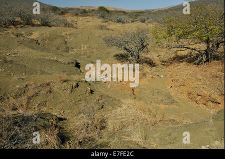 Gluckstadt, KwaZulu-Natal, South Africa, rocky, safari, two track, dirt ...