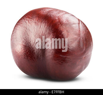 Single chestnut isolated on white with clipping path Stock Photo - Alamy