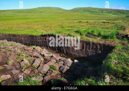 Cut peat on a peat bog, Yell, Shetland Islands, Scotland, United Stock ...