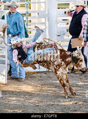 Girl with Small Cow Stock Photo - Alamy