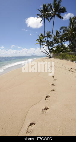 Kaaawa Beach Park, Oahu, Hawaii, shadow Stock Photo - Alamy