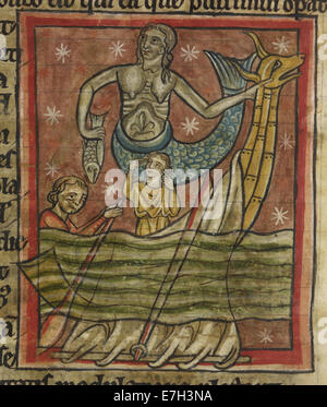 Illustration from the Bestiary manuscript (1230-1240), showing herons ...