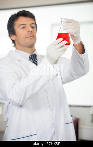 Red solution in a conical flask Stock Photo - Alamy