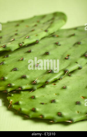 edible nopal cactus plant Stock Photo - Alamy
