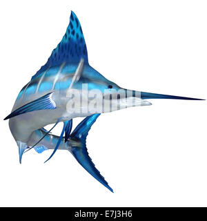 The Blue Marlin is a predator and a favorite game fish of deep sea ...