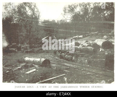 An 1892 illustration of the Jarrahdale Timber Station in Western ...