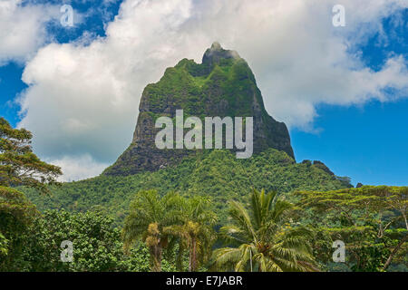 Rain Moorea French Polynesia Stock Photo - Alamy