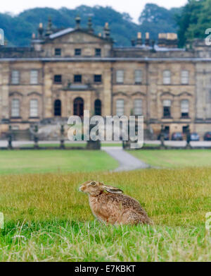 Duncombe Park House, Helmsley, North Yorkshire, England, United Kingdom ...