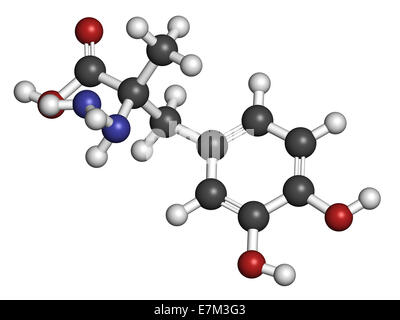 L-DOPA (levodopa) Parkinson's disease drug molecule. Stylized skeletal ...