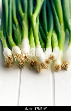 Fresh green onion in a bunch. Old rustic wooden table background Stock ...