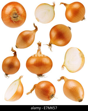 Set of yellow cut and whole onion on white background. Banner design ...