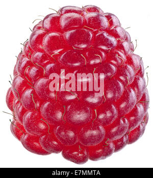 Single fresh raspberry, isolated on white. Close up macro shot Stock ...