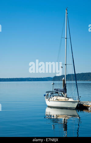 Sailboats on Case Inlet, Joemma Beach State Park. Washington, USA Stock ...
