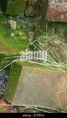 A pile of bricks and stones with some green grass in between. The pile ...