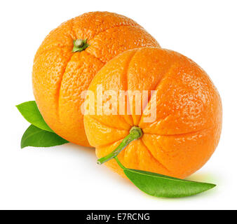 Fresh fruits, two orange oranges on an interesting matte background ...