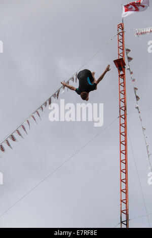 The Extreme High Diving Team performing at the Brisbane Ekka Stock ...