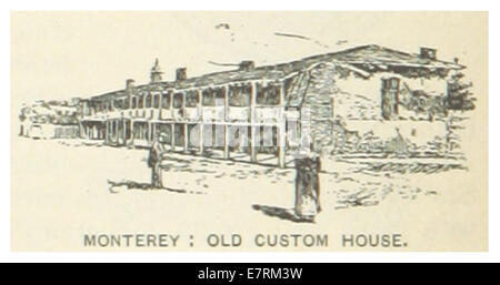 Drawing sketch style illustration of a California halibut fish native ...