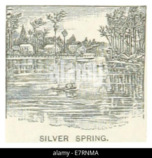 This 1891 illustration depicts Silver Spring in Florida, a popular ...