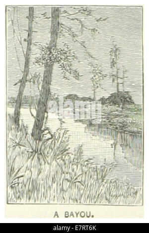 An 1891 illustration of a bayou in Louisiana, capturing the natural ...