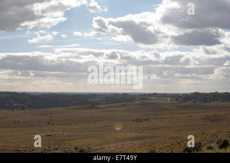 View across sandy heathland Hampton Ridge between Fritham and Frogham ...