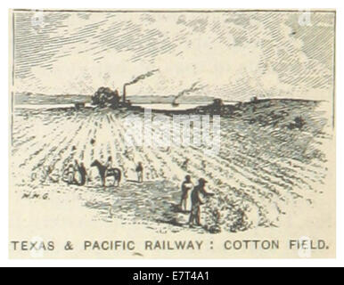 This 1891 illustration of Texas cotton fields shows the expansive ...