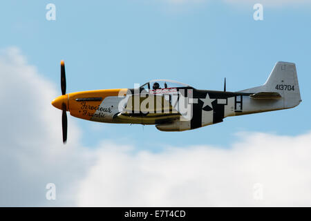 Yellow nose of a North American P-51D Mustang fighter plane with propeller detail, and tail of ...