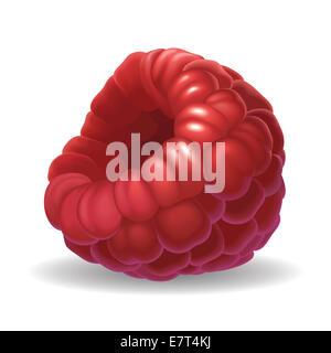 Raspberry isolated on white background - 3d render Stock Photo - Alamy