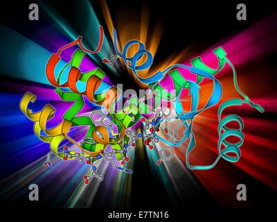 T4 bacteriophage structure, illustration Stock Photo - Alamy