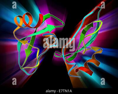 Amyloid beta protein. Molecular model showing the structure of amyloid ...
