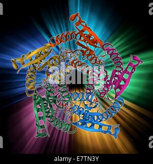 Lumazine synthase molecule Stock Photo - Alamy