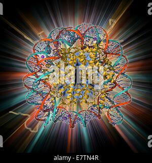 Nucleosome, molecular model. A nucleosome is a subunit of chromatin ...