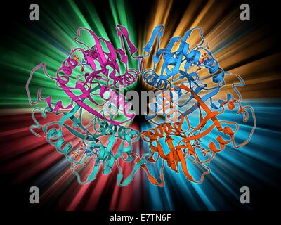 Guanine molecule model Stock Photo - Alamy