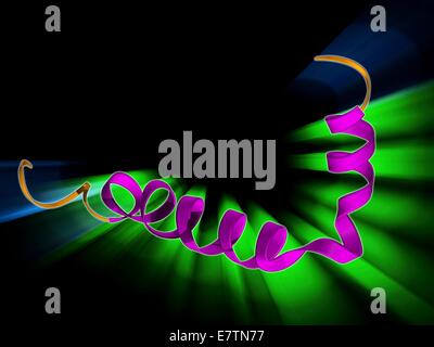 Amyloid beta protein. Molecular model showing the structure of amyloid ...