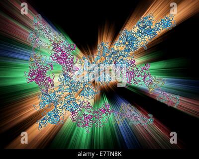 Insect flight muscle, molecular model Stock Photo - Alamy