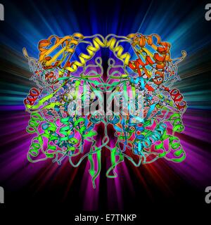 Nitric oxide, NO, molecule model and chemical formula. Nitrogen oxide ...