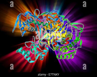 RNA-induced silencing complex (RISC), molecular model. This complex ...