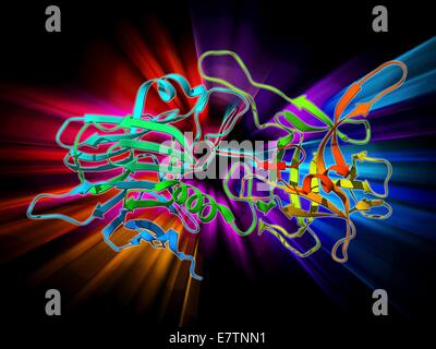 Botulinum type B neurotoxin Stock Photo - Alamy
