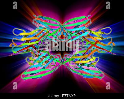 Titin muscle protein molecule Stock Photo - Alamy