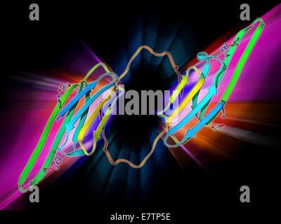 Eye lens protein molecule Stock Photo - Alamy