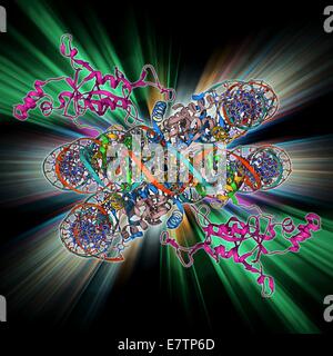 Sir3 gene silencer acting on DNA Stock Photo - Alamy