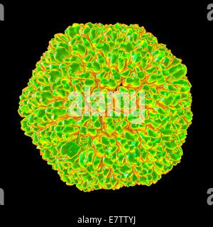 Sputnik virophage, computer artwork Stock Photo - Alamy