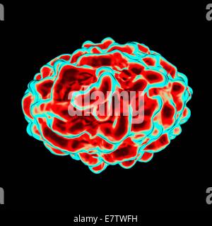 Smallpox virus, computer artwork Stock Photo - Alamy