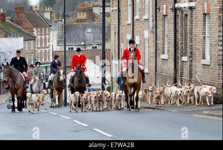 Fox hunt and pack, England, UK Stock Photo - Alamy