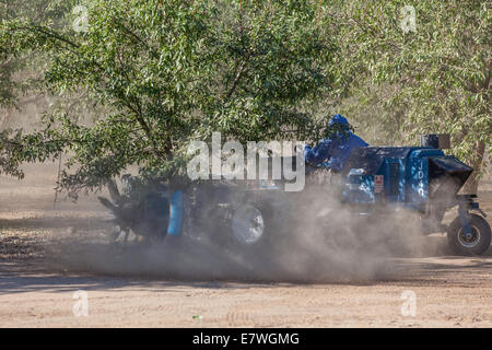 An almond harvesting machine that sweeps all the almonds into the ...