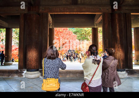 Kyoto, Japan - Nov 26, 2013 : red japanese maple autumn fall , momiji tree in kyoto japan Stock ...